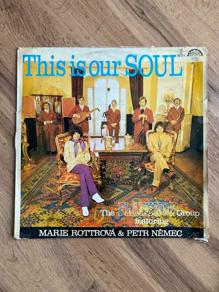 Виниловая пластинка Flamingo Group - This Is Our Soul