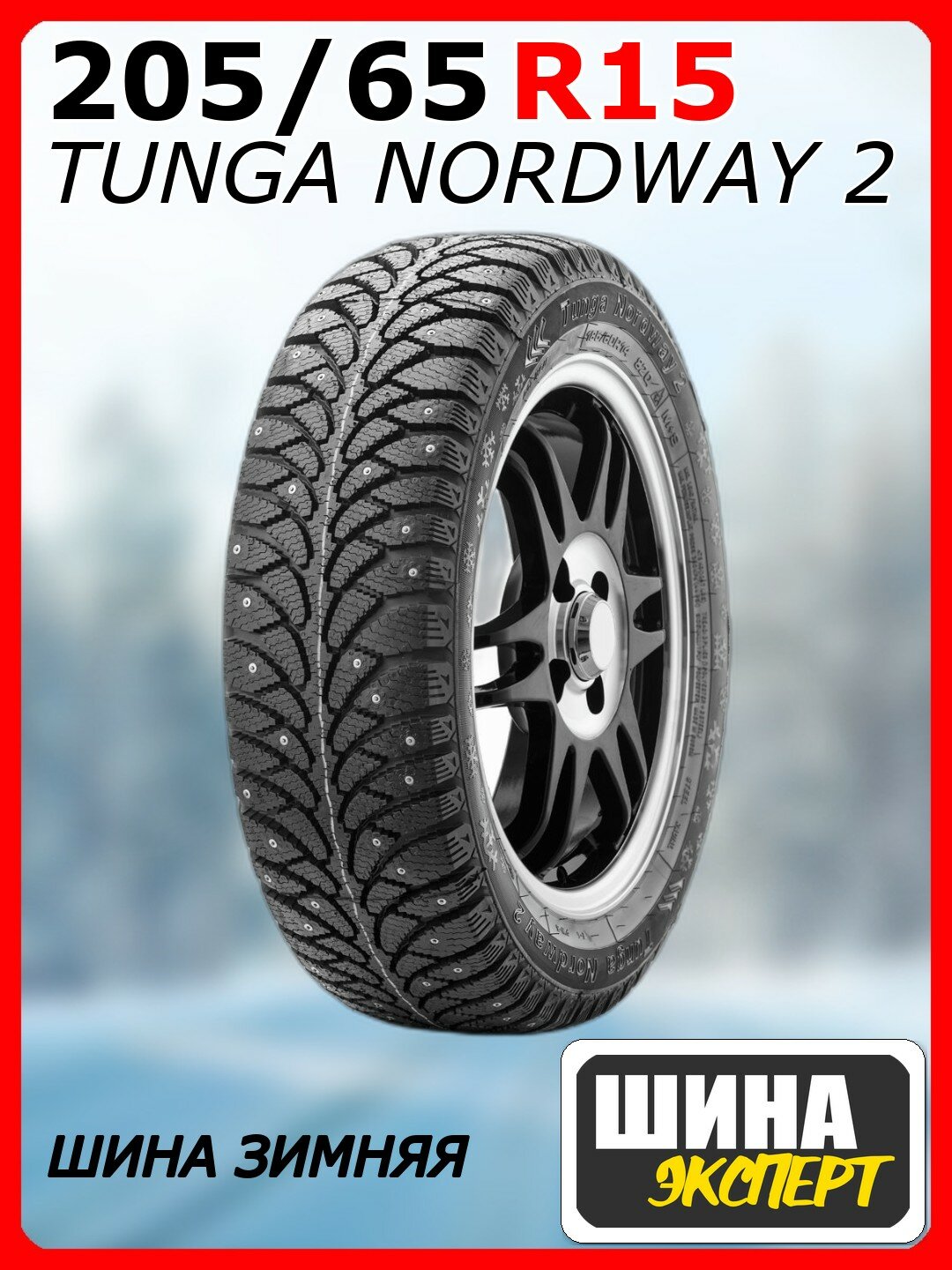 Шина зимняя шипованная TUNGA 205/65/15 Q 94 NORDWAY 2 Ш. для легковых автомобилей 686200437