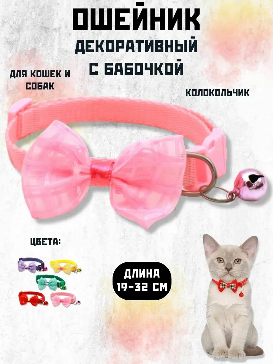 Декоративный ошейник для кошек и собак мелких с бабочкой для мелких кошек для мелких собак
