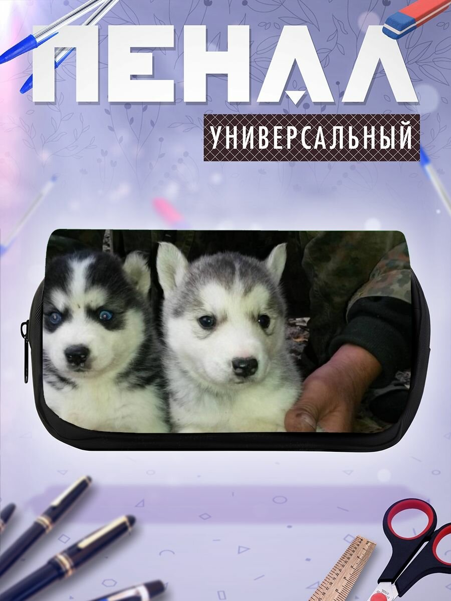 Школьный пенал Сахалинская хаски миниатюрный Сибирский хаски