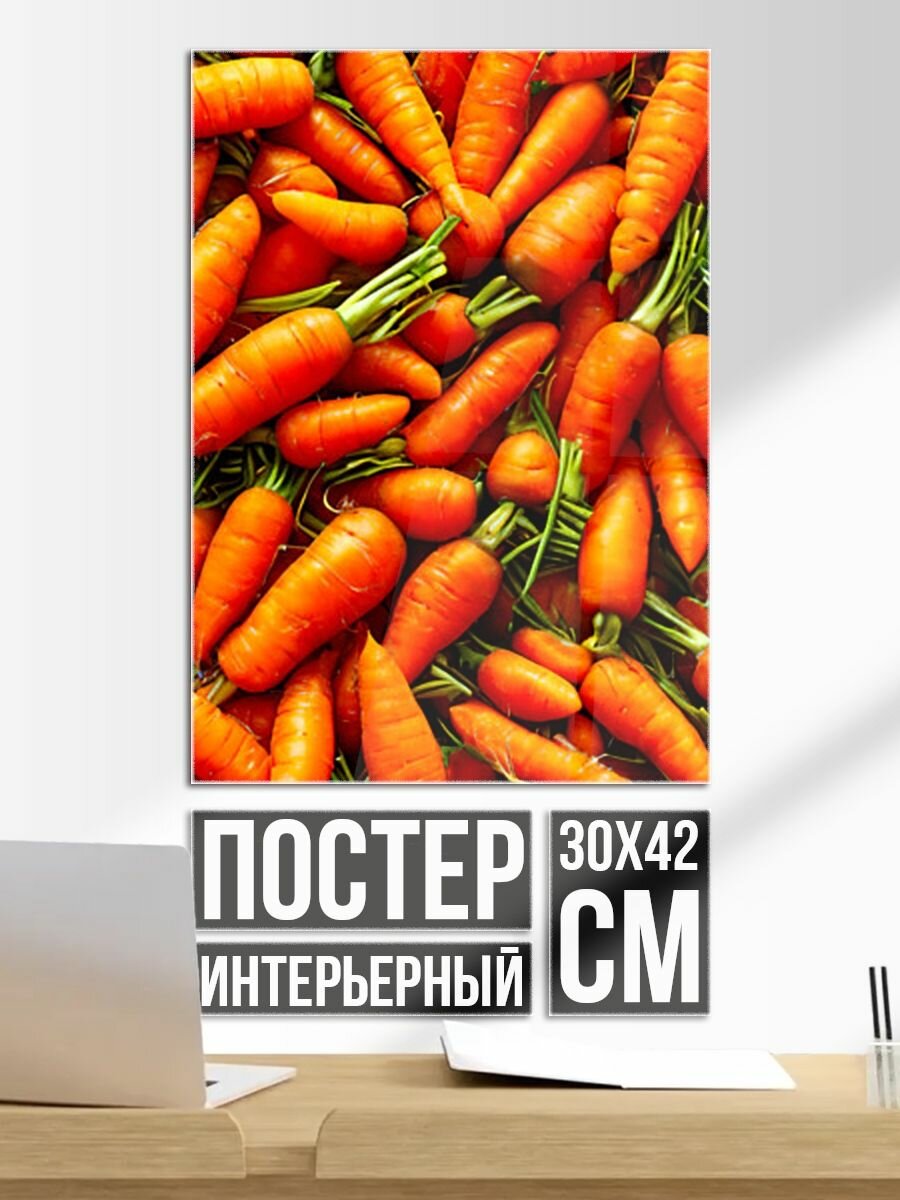 Постер на стену Морковь