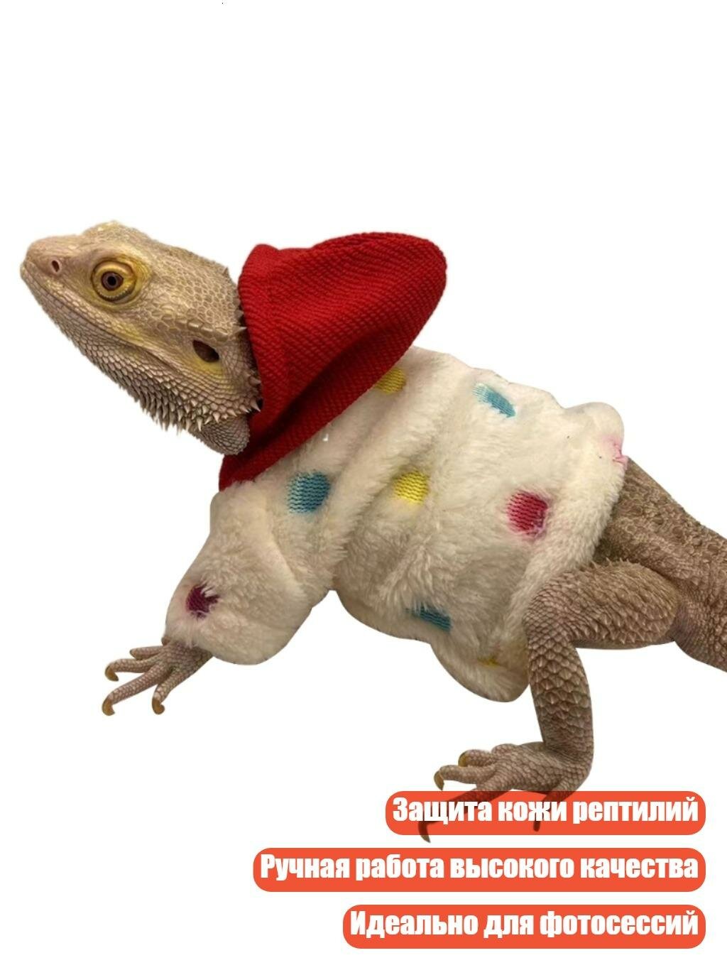 Одежда для ящериц, красная шляпа в горошек