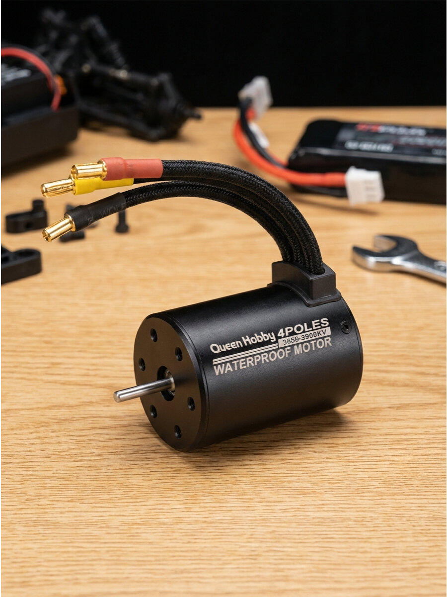 Электродвигатель Queen Hobby 3650 3900KV для RC моделей авто