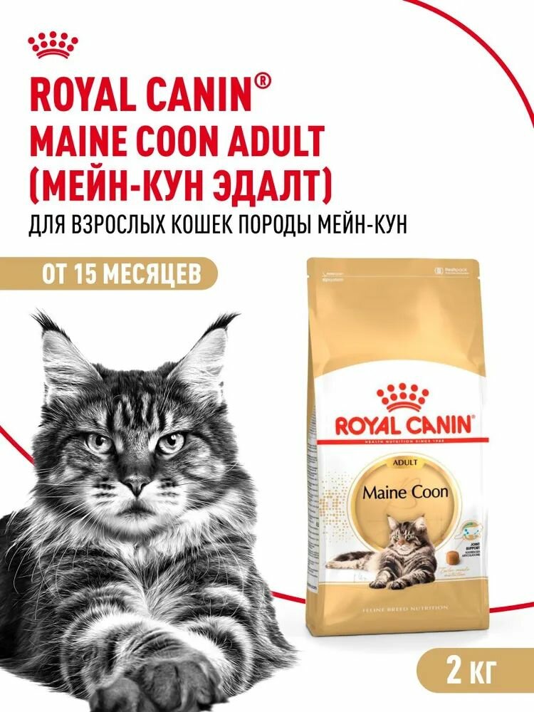 Сухой корм Royal Canin Maine Coon Adult для кошек породы мейн-кун 2 кг