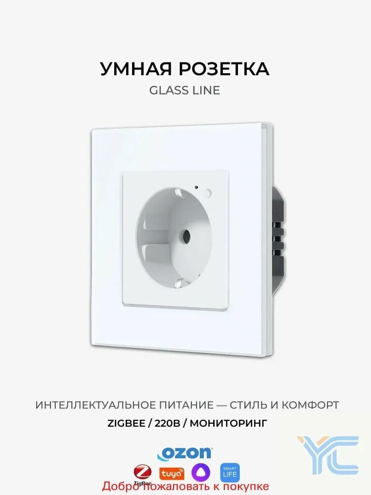 Умная розетка Zigbee встраиваемая, белая, с мониторингом
