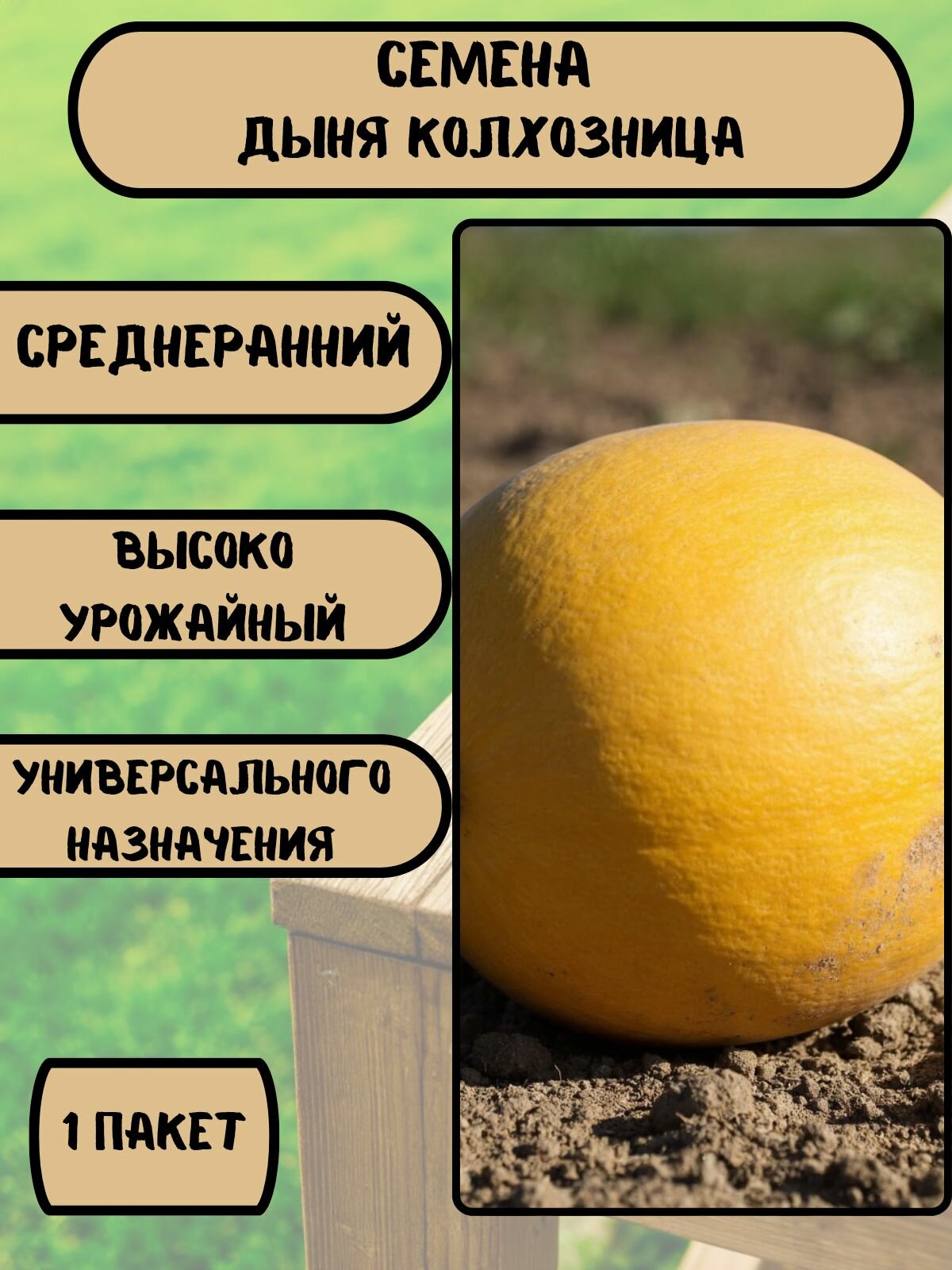 Дыня Колхозница, семена 10 шт