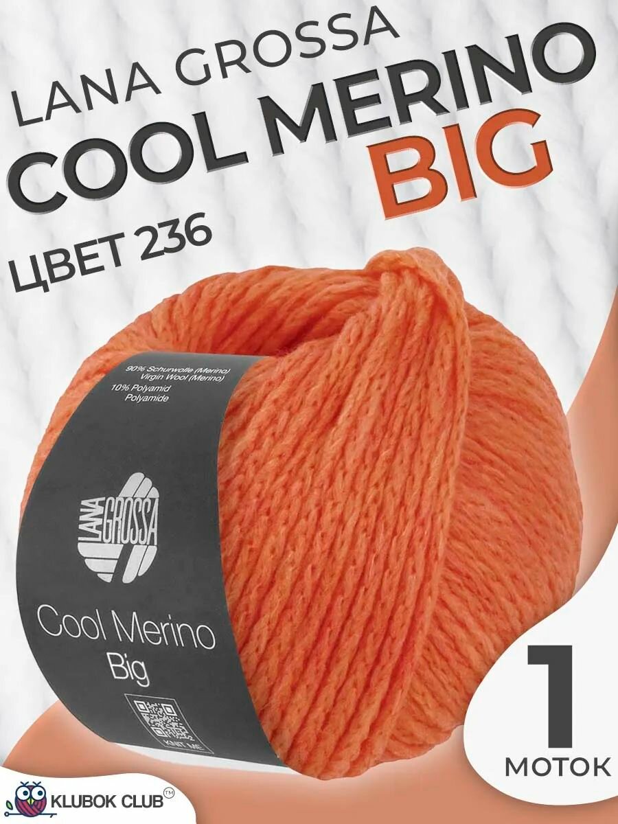 Пряжа для вязания Lana Grossa Cool Merino Big шнурок, цвет 236, 1 моток
