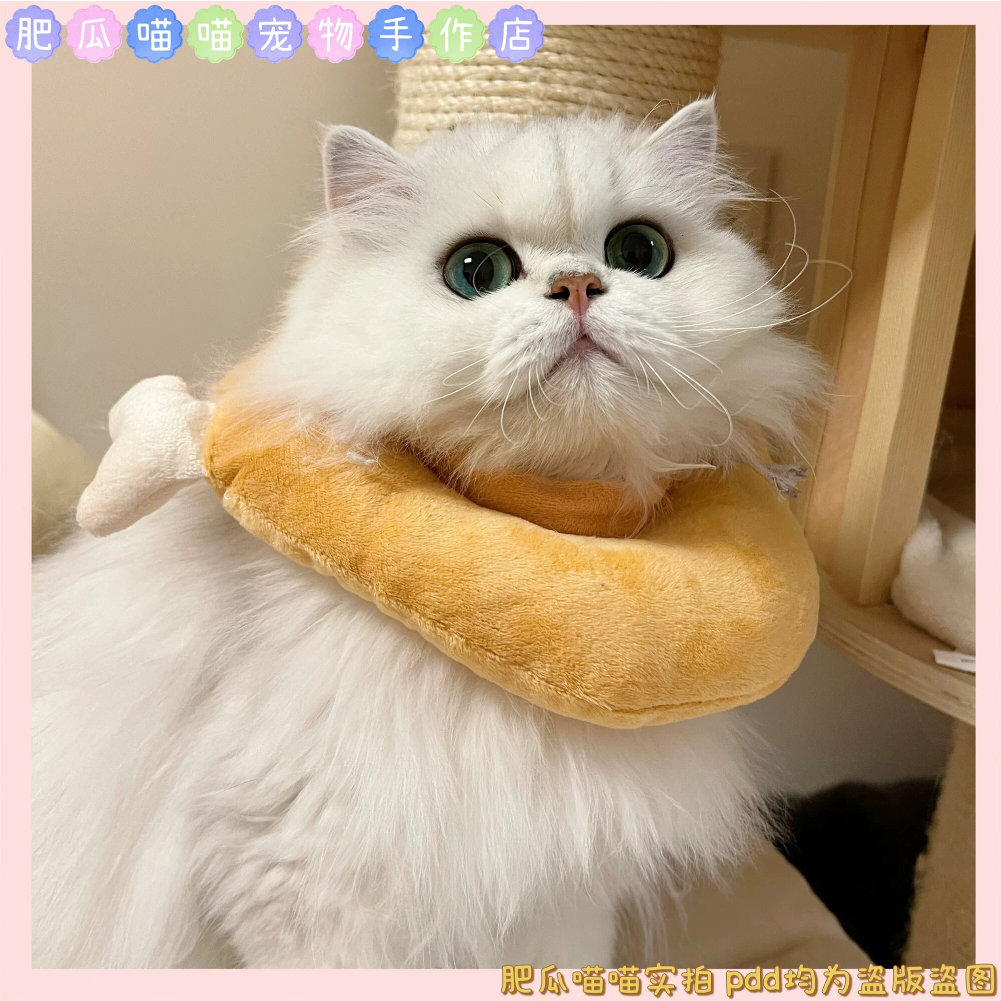 Новый универсальный элизабетанский воротник для кошек, защитный чехол для головы в виде тоста, воротник от вылизывания