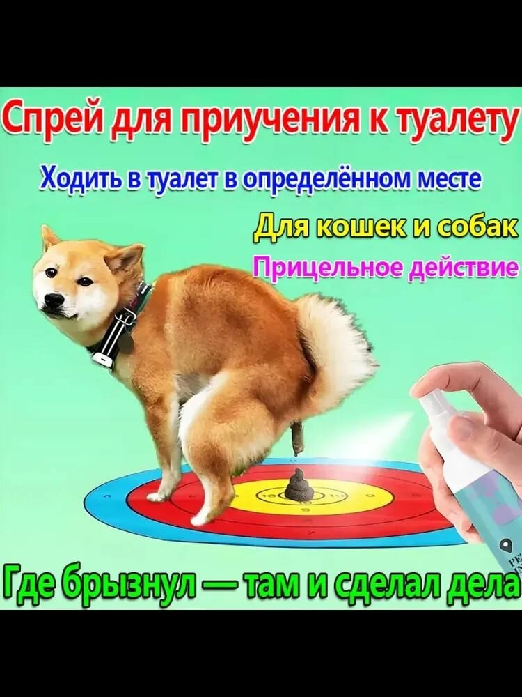 Корректор поведения для животных