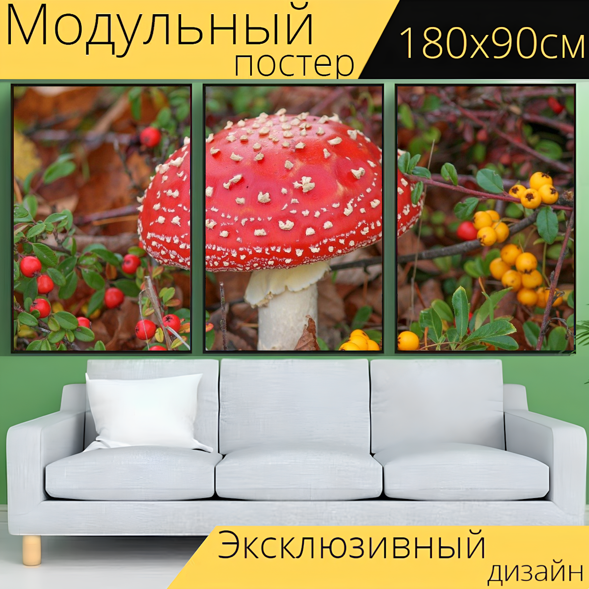 Модульный постер "Поганка, мухомор мухомор, ядовитый" 180 x 90 см. для интерьера на стену в тубусе