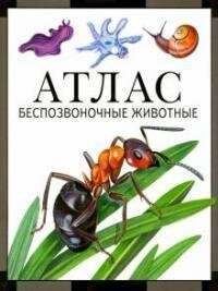 Книга "Беспозвоночные животные : атлас"