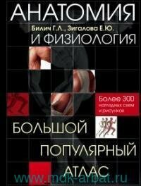 Книга "Анатомия и физиология : большой популярный атлас : более 300 наглядных схем"