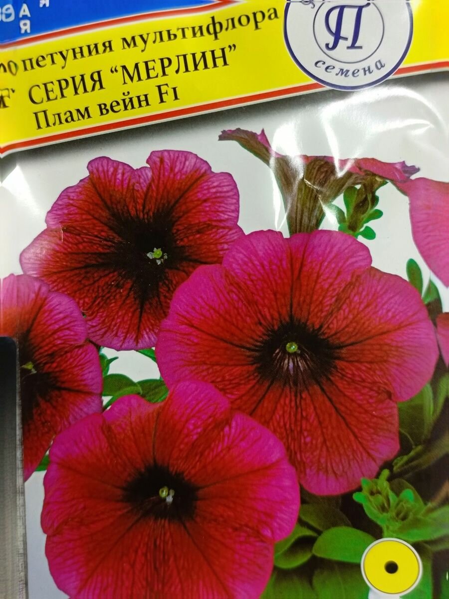 Семена петуния мультифлора Мерлин Плам Вейн - низкорослая для горшков и контейнеров. Престиж Семена.