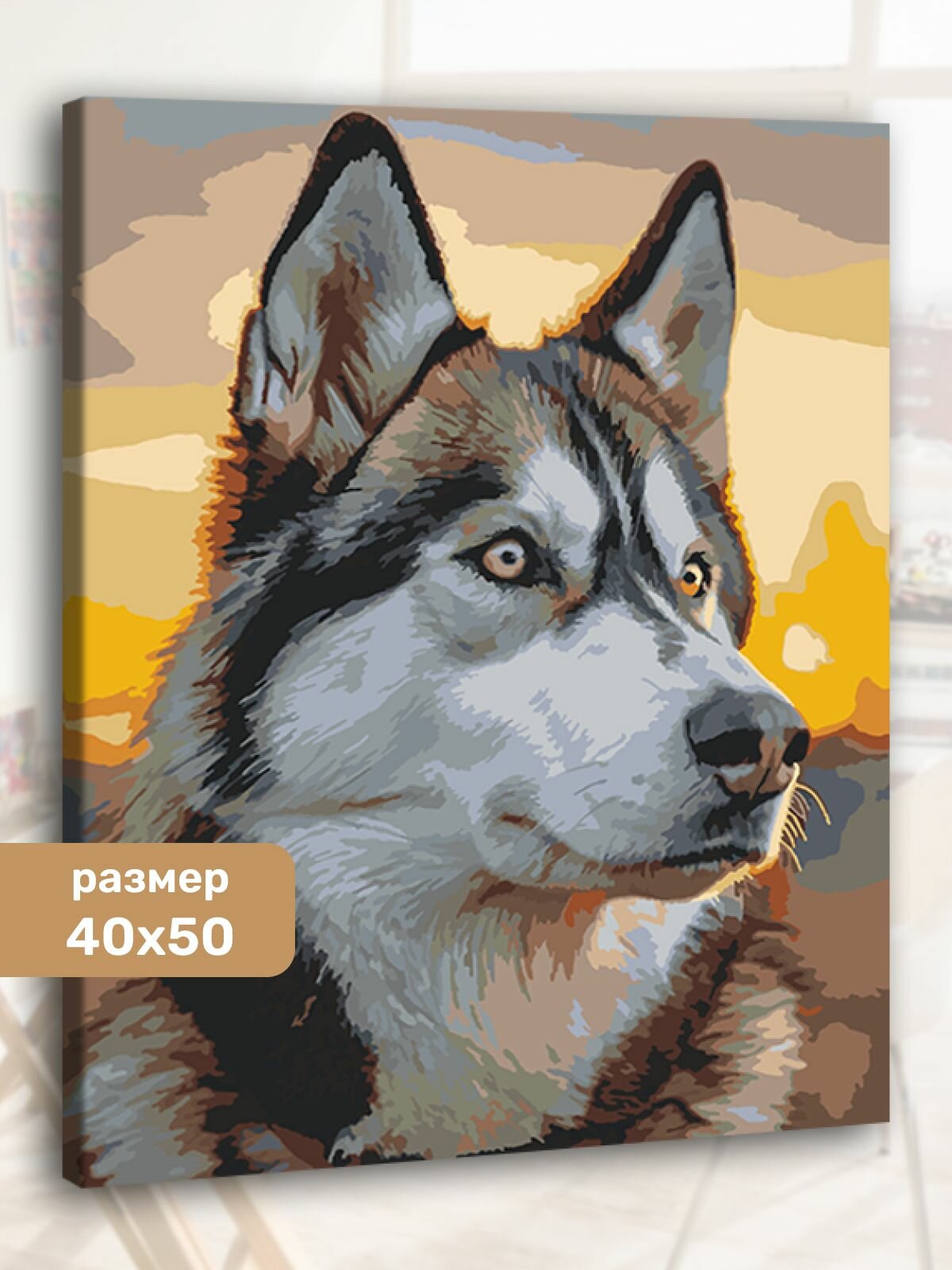 Картина по номерам на холсте Хаски 40х50