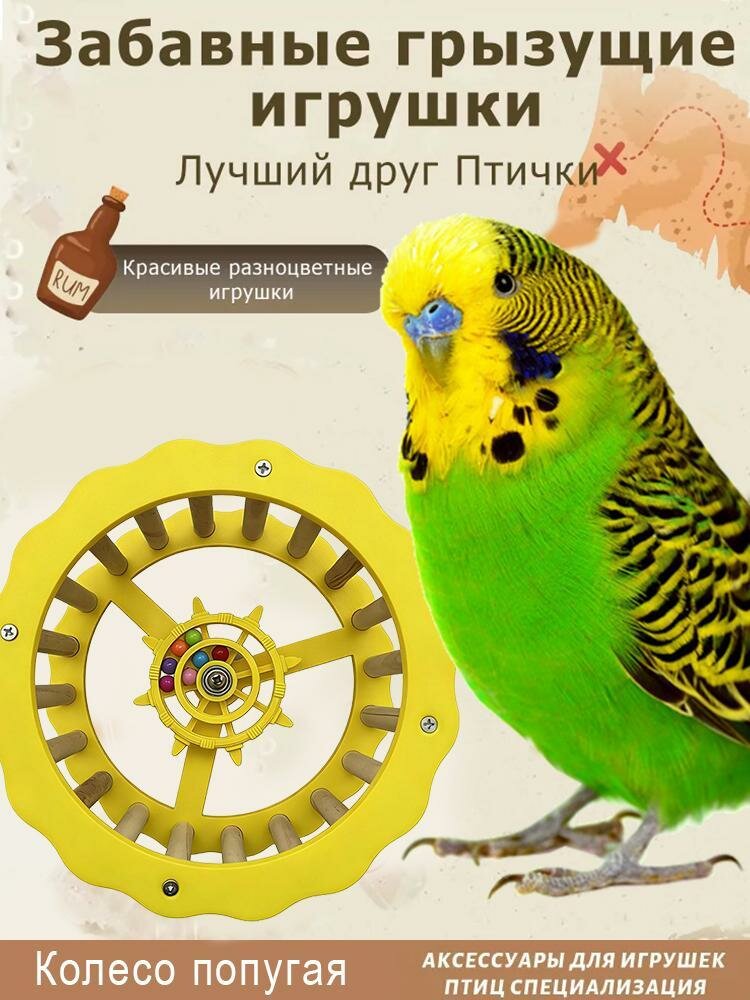 Аксессуары для клеток попугаев с беговыми колесами для волнистых попугаев