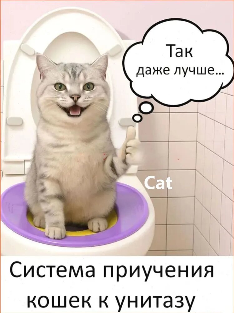 Система приучения кошек к унитазу, лоток на унитаз для кота