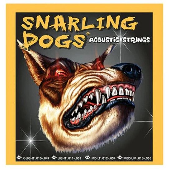 Струны для акустической гитары DAndrea SDP12