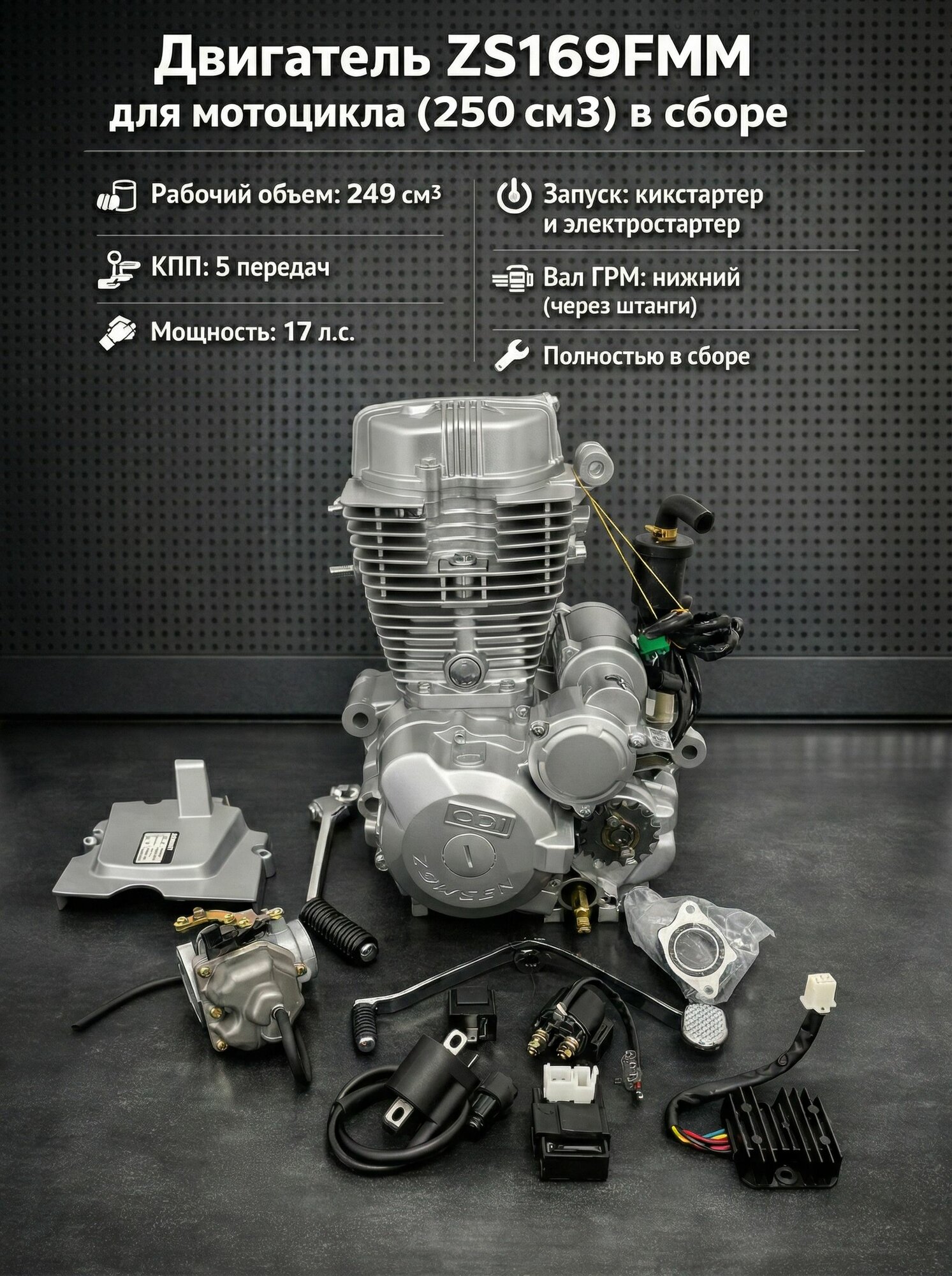 Двигатель ZS169FMM для мотоцикла (250 см3) в сборе
