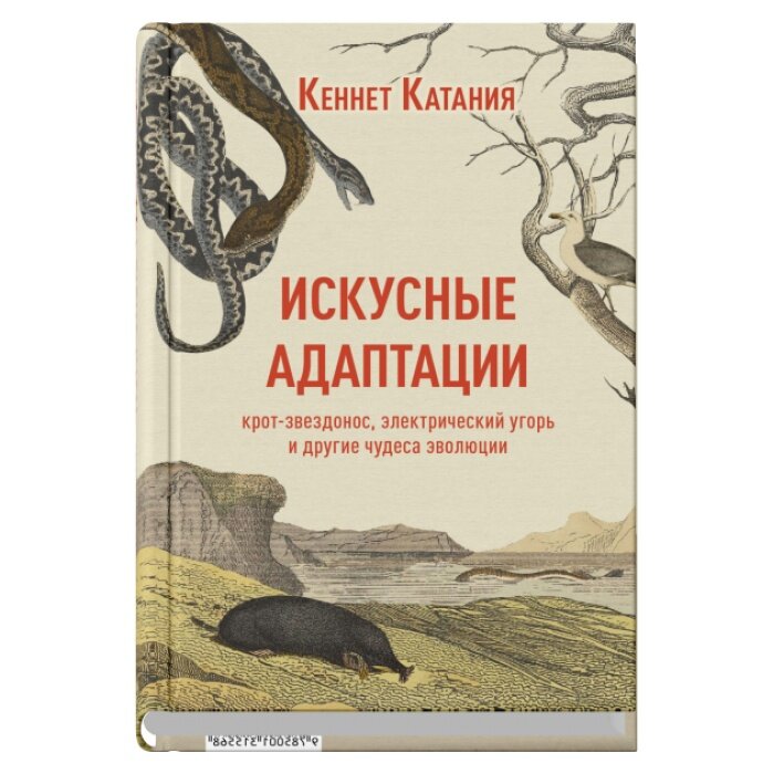 Искусные адаптации. Крот-звездонос, электрический угорь и другие чудеса эволюции / Катания К.
