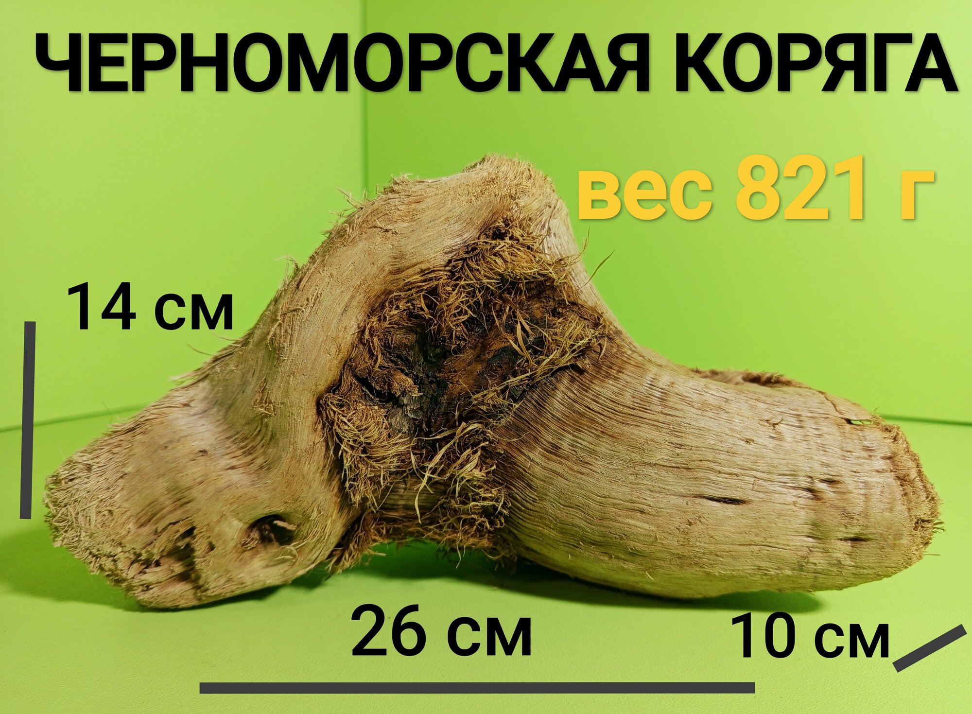 Черноморская коряга остров нежный для улиток, террариума и дизайна.