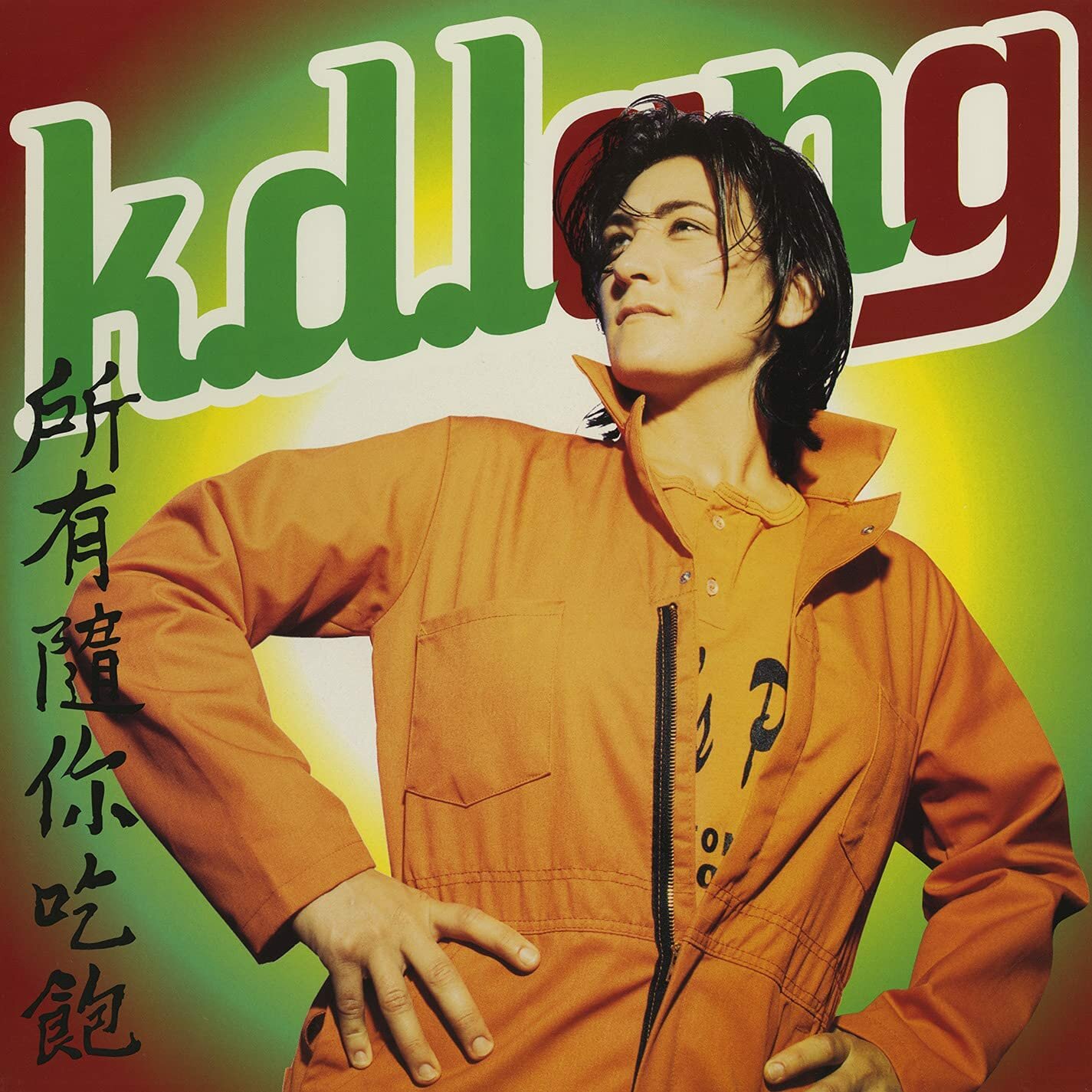 K.D. LANG All You Can Eat (LP)