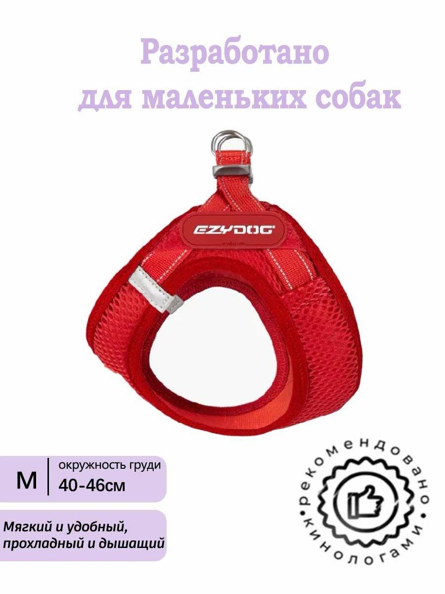 EzyDog шлейка для собак мелких пород