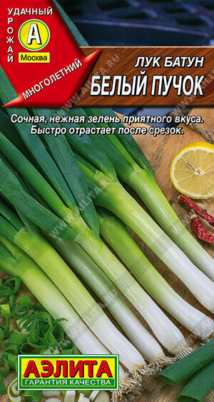 Лук батун Белый пучок