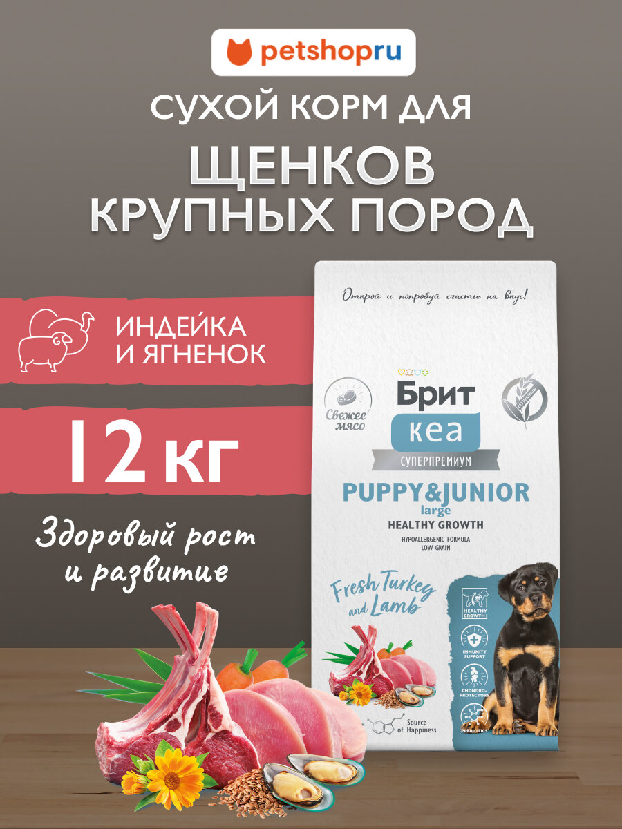 Сухой корм с индейкой и ягненком для щенков крупных пород