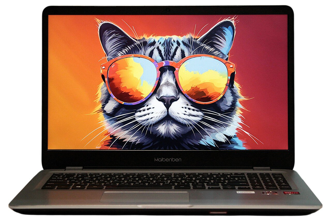 Ноутбук Maibenben M543/ IPS Full HD/AMD Ryzen 3 4300U/AMD Radeon Graphics /8GB DDR4/SSD 256GB/WIN10