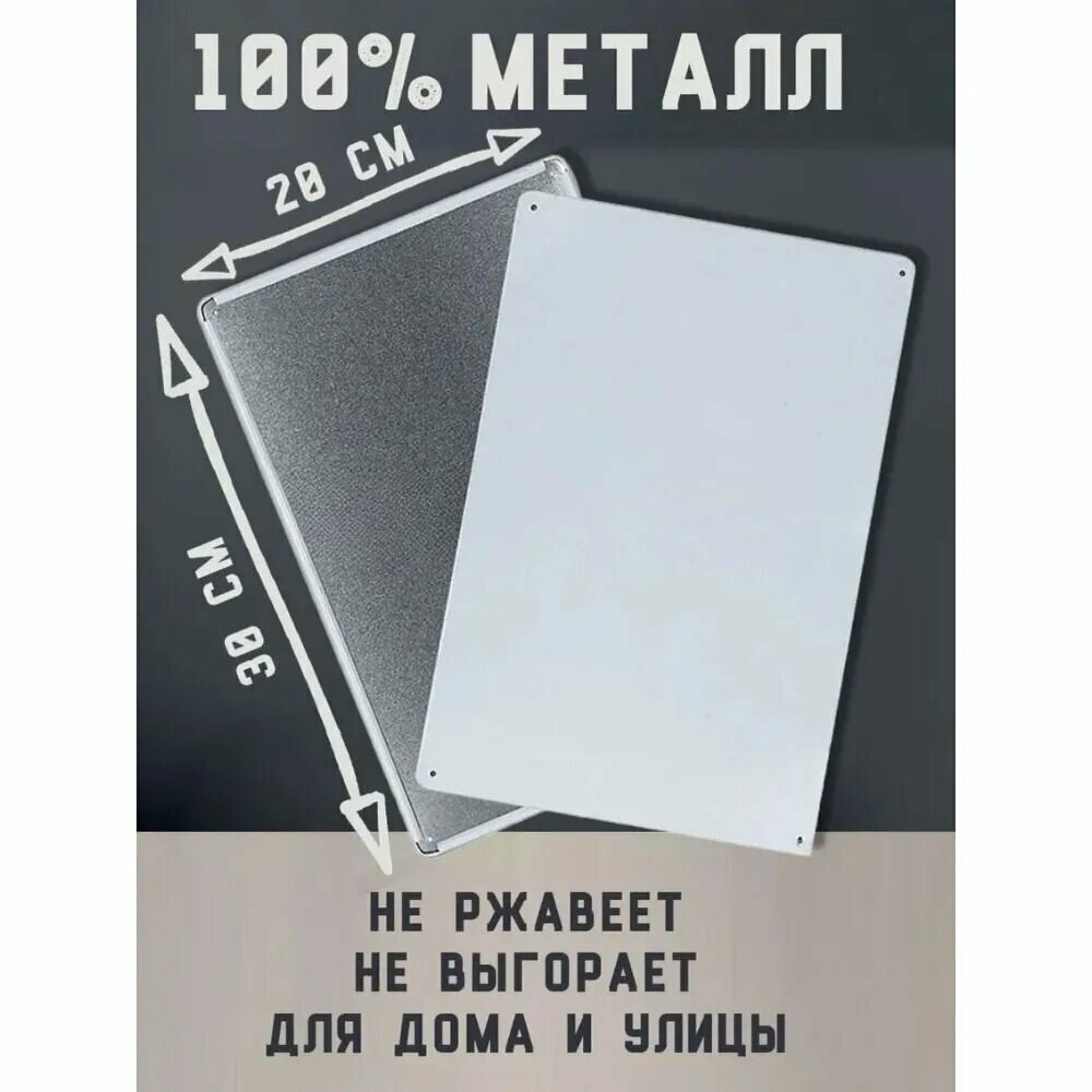 Прикольная табличка для офиса Убедитесь в наличии ресурсов, металл, 20х30 см.