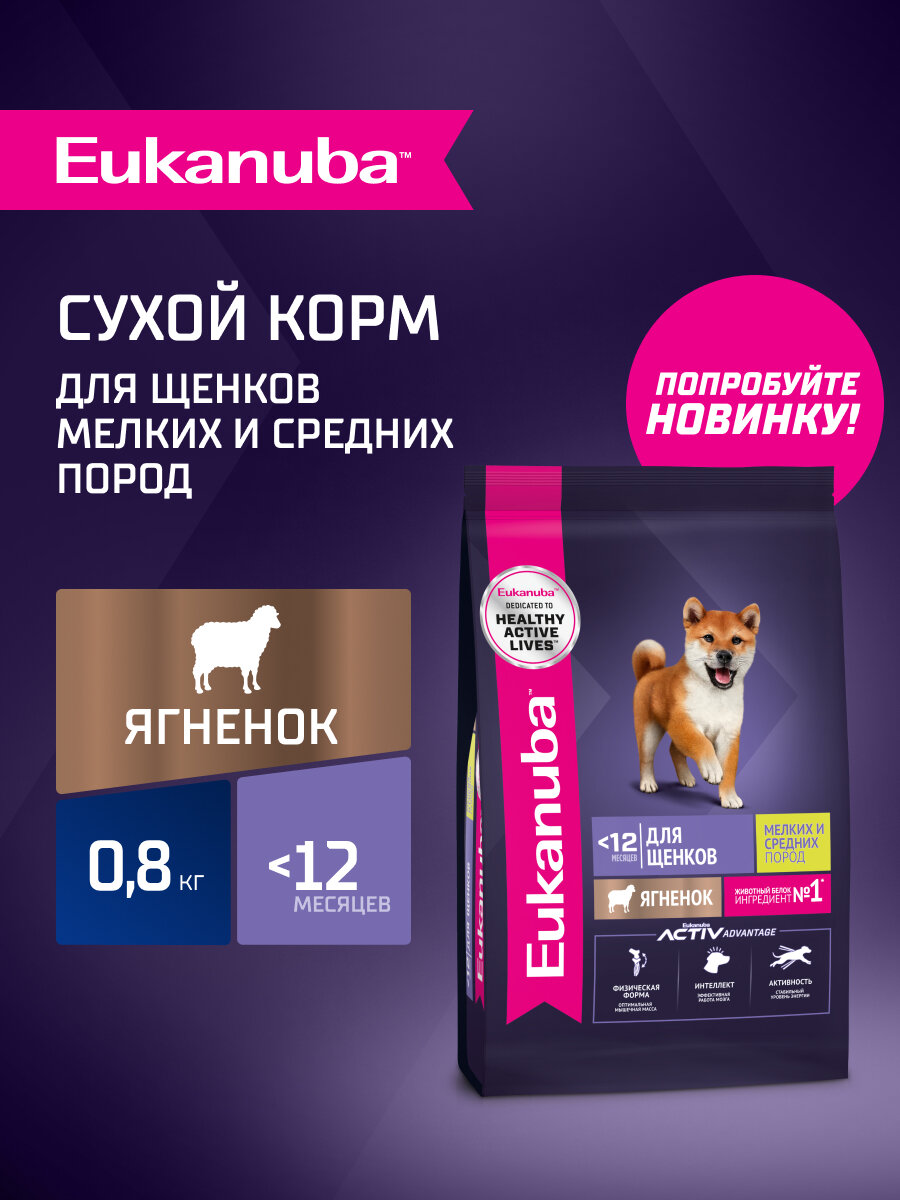 Сухой корм для щенков Eukanuba для мелких и средних пород с ягненком, 800 г