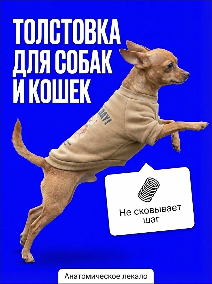 Одежда для собак мелких пород / Толстовка для собак Коричневая с Мишкой, размер M Family Pet