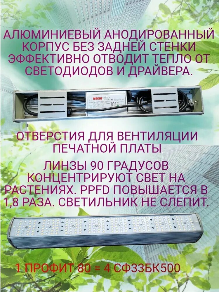 Фитосветильник — фото 1