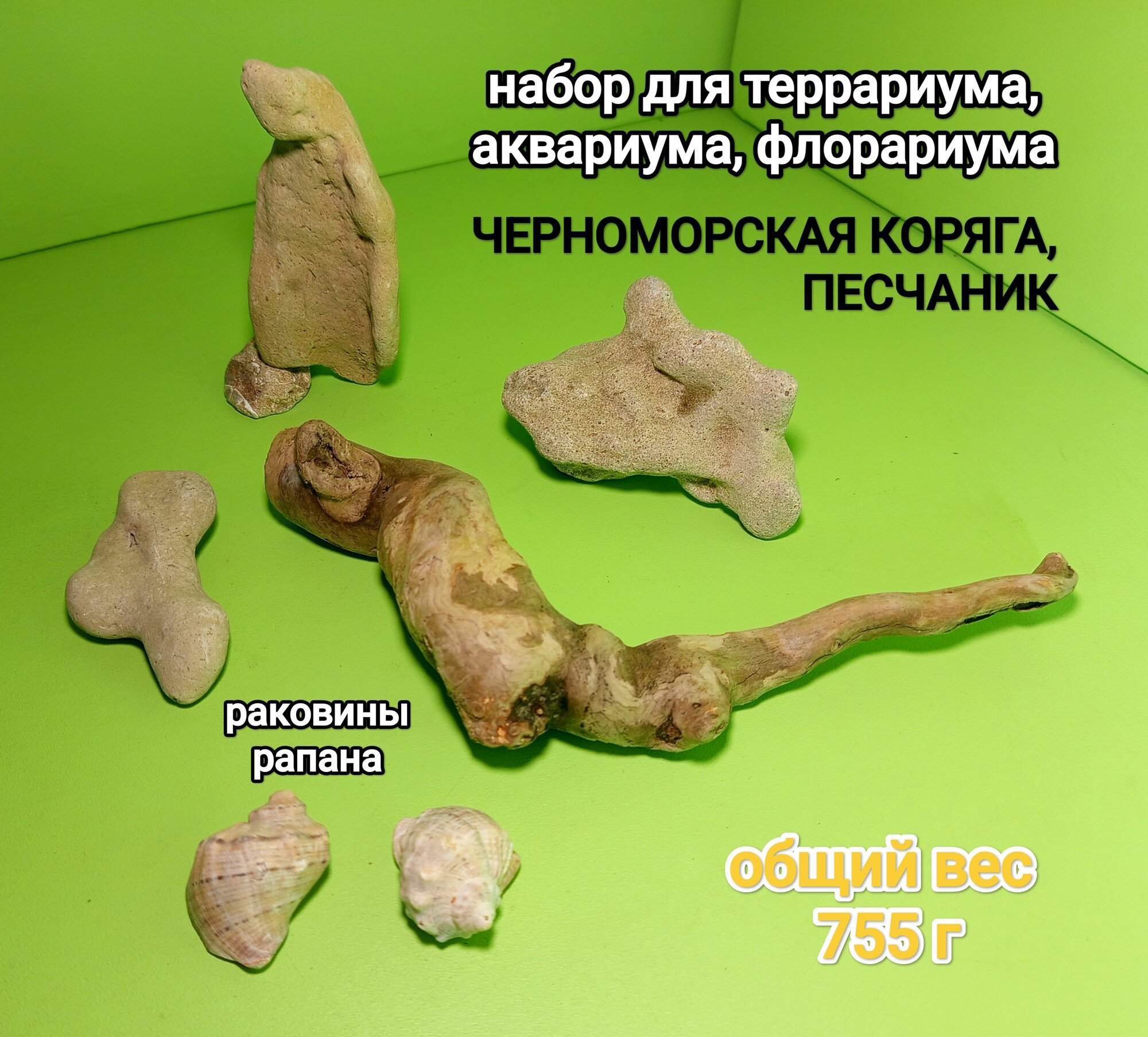Черноморский набор чудесинки. Песчаник натуральный, коряга-дрифтвуд, раковины рапана для аквариума, террариума, дизайна