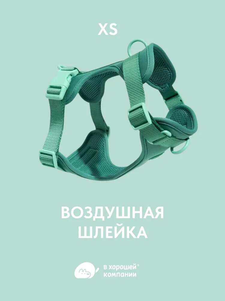 Анатомическая прогулочная шлейка с адресником для собак мелких пород и кошек IN GOOD COMPANY В хорошей компании (XS / зеленый)
