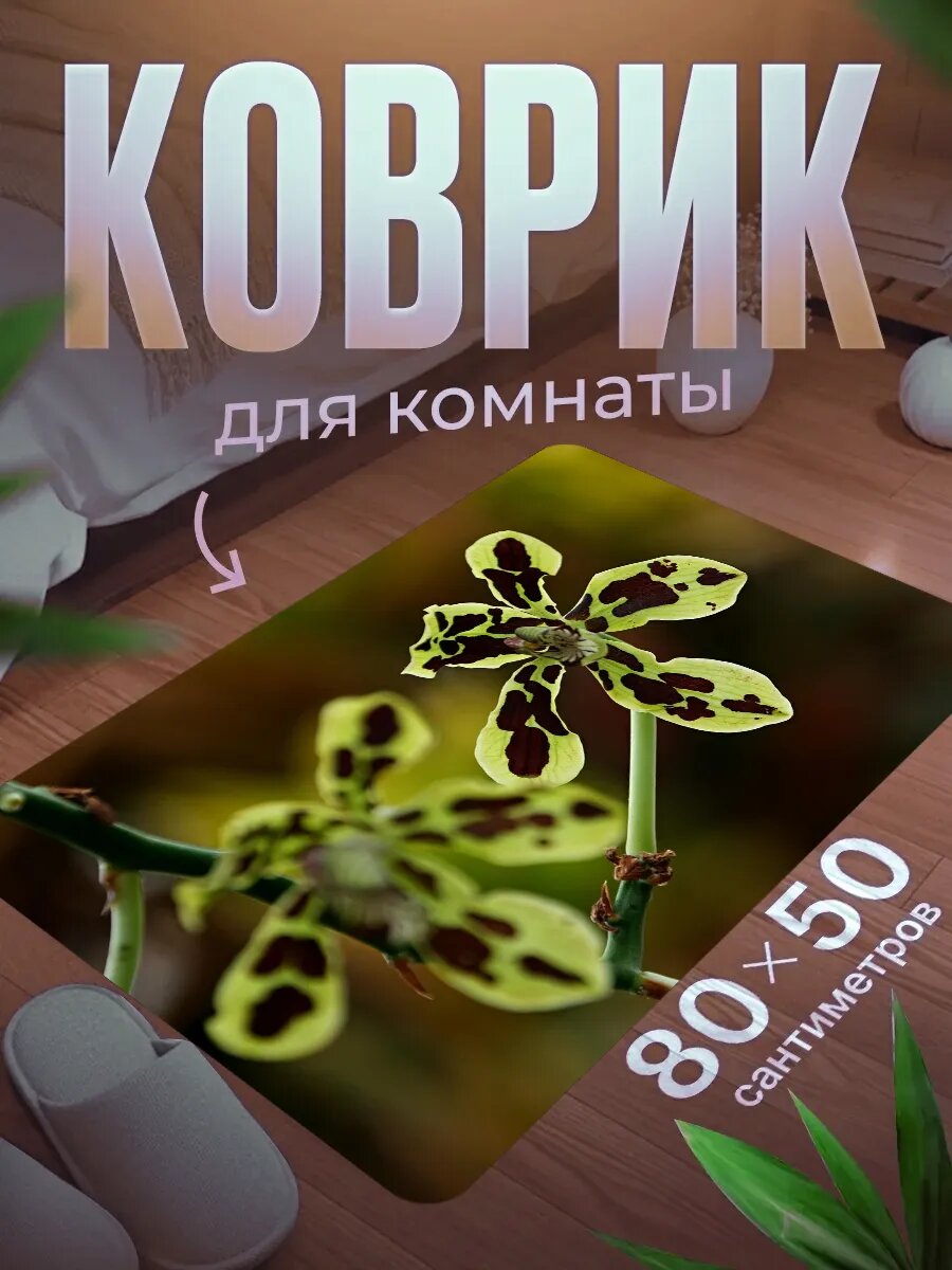 Коврик для ног 80×50 см мягкий, влагостойкий, нескользящий