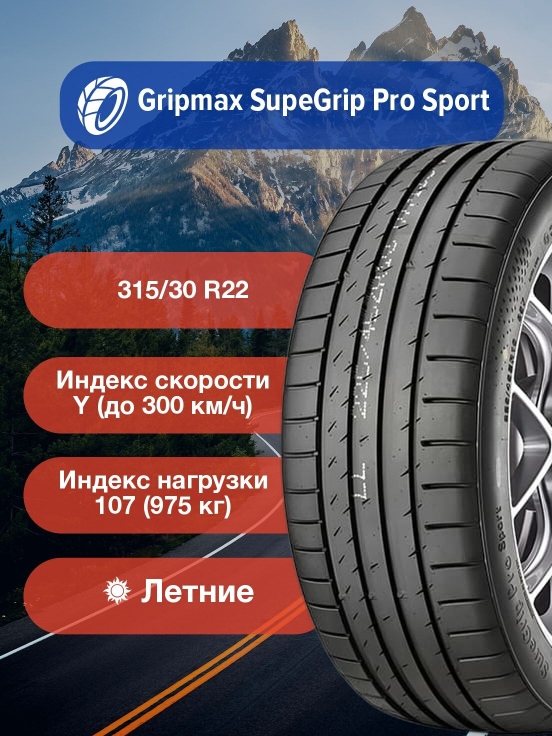 Легковые Летние Шины Gripmax SupeGrip Pro Sport 315/30 R22 107Y-9364970 для легковых автомобилей и кроссоверов
