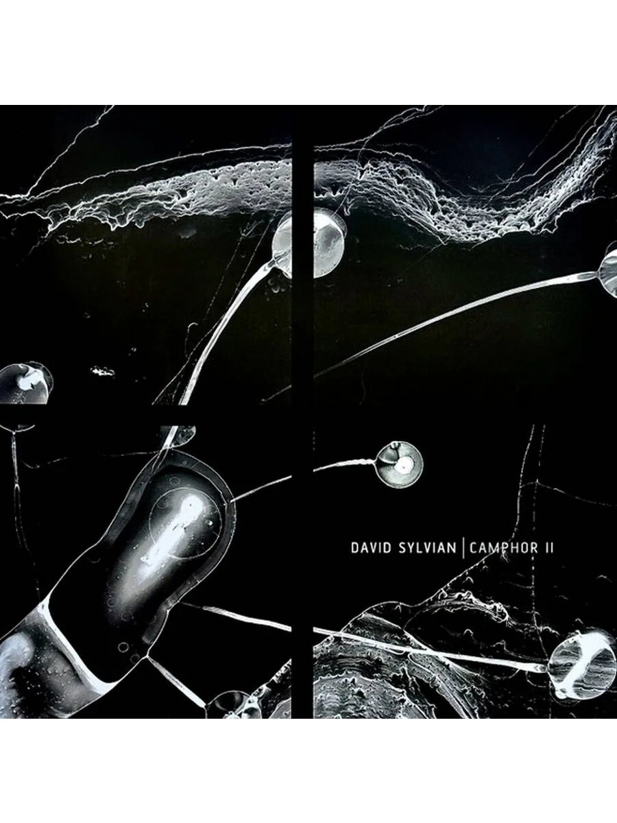 David Sylvian - Camphor II (2LP white)