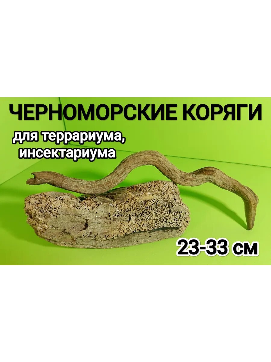 Коряги Черноморские для террариума, инсектариума
