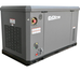 Генератор газовый EVOline GNG 19000 E