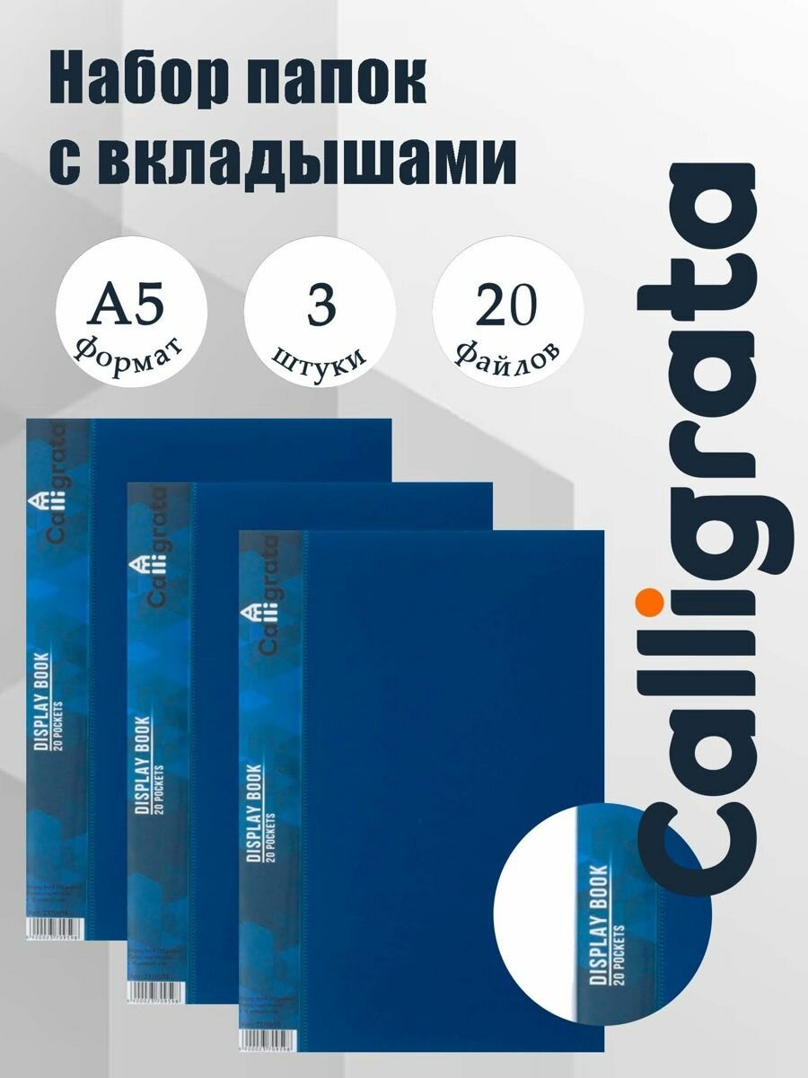 Набор папок А5, 20 вкладышей, для хранения документов, Calligrata, синяя, 3 штуки