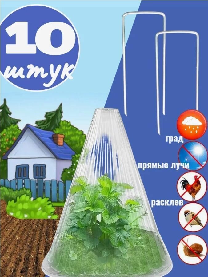 Мини-парник конус для защиты рассады 10