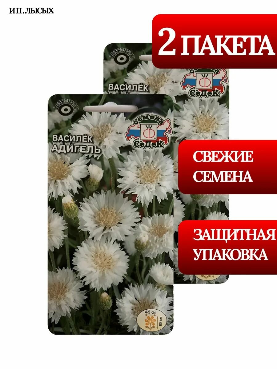 Семена Василек "Адигель"