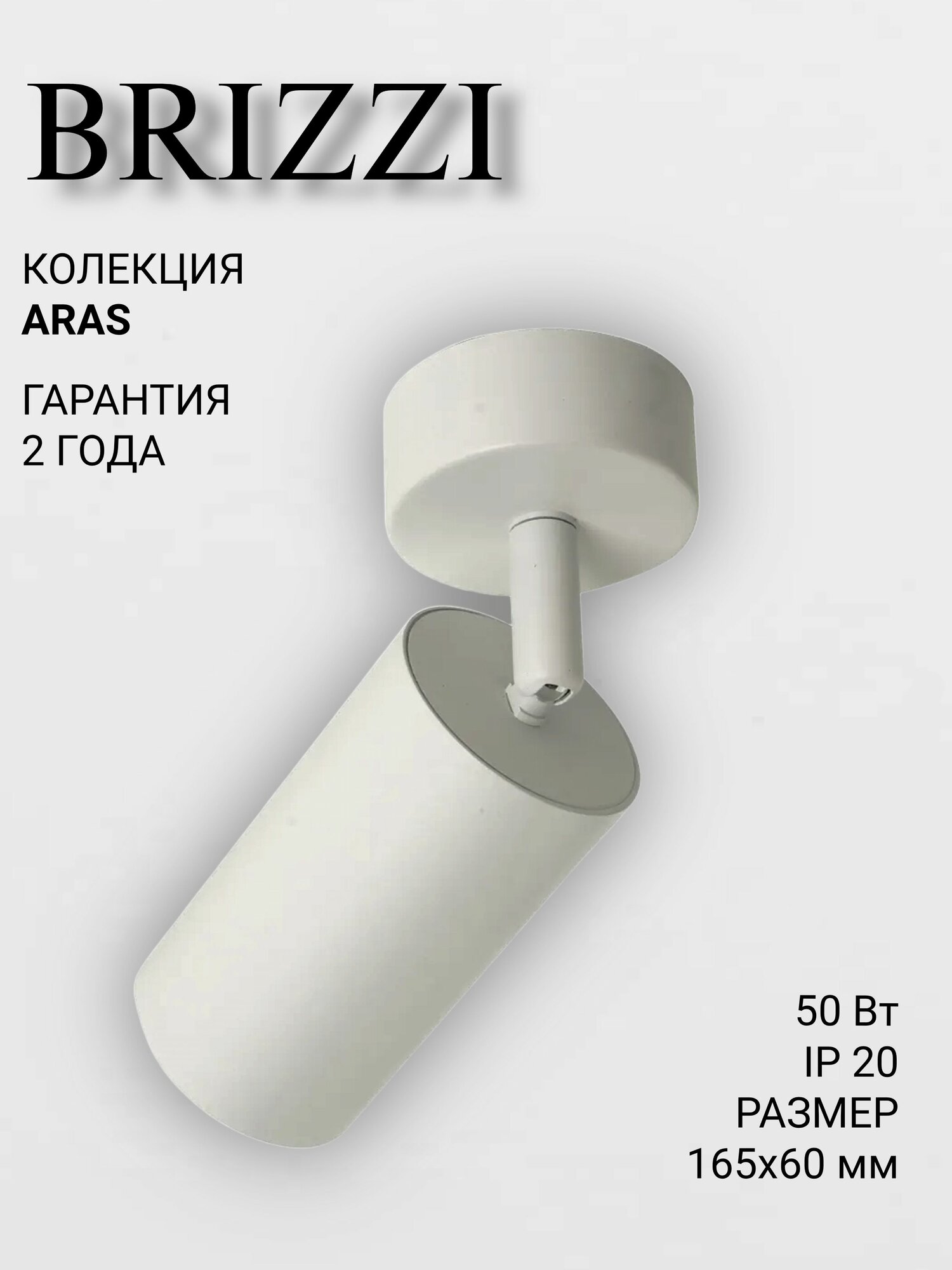 Потолочный светильник-спот BRIZZI ARAS BR08075
