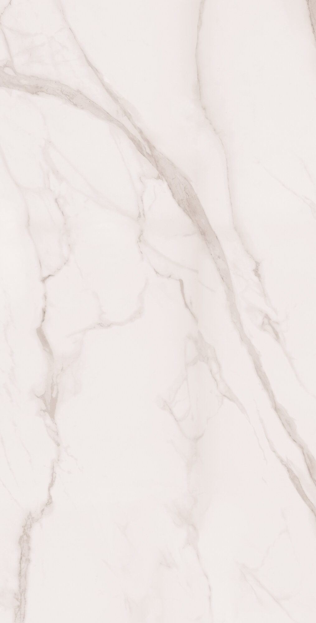 Керамогранимт Arcadia Ceramica STATUARIO SILK Поверхность: сатиновая ( цена за 1 упаковку -1,44 м2)