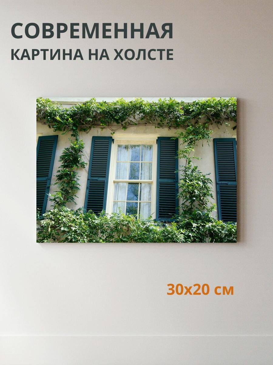 Картина на холсте Окна 30x20 см