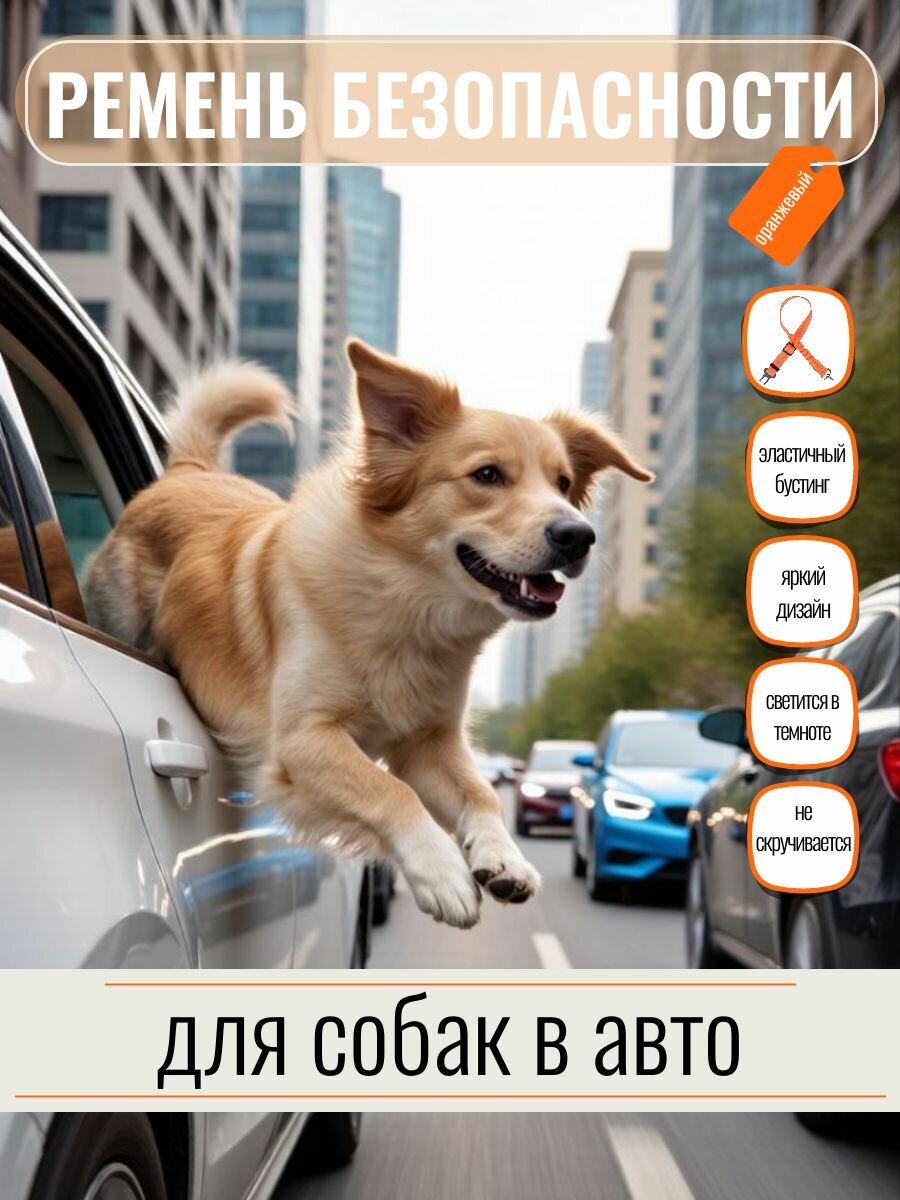 Ремень безопасности для собак
