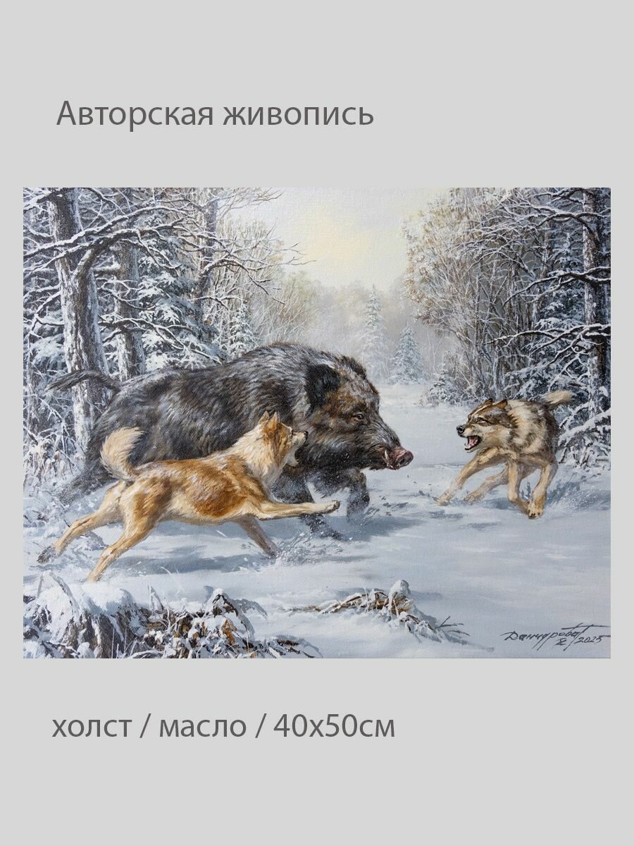 Авторская картина маслом "Охота на кабана" 40х50см