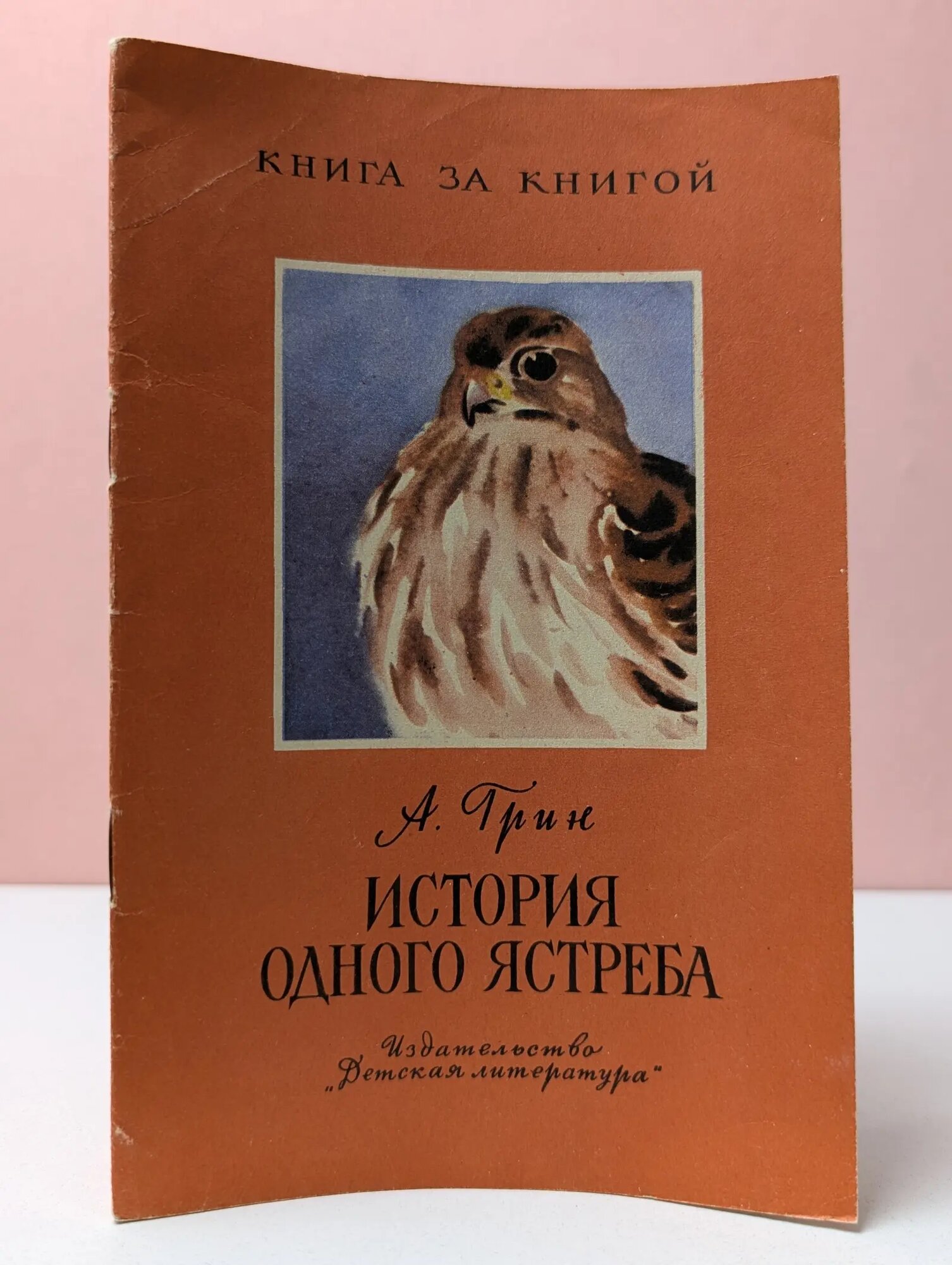Книга за книгой. История одного ястреба Грин Александр Степанович 1963