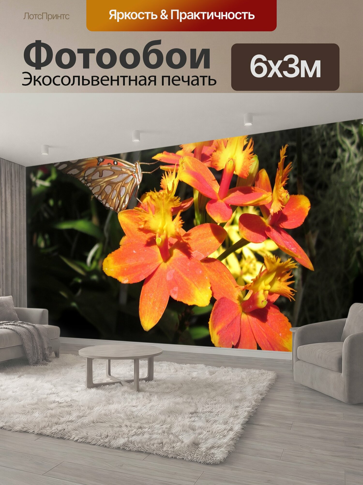 Фотообои "Эпидендрум, бабочка, орхидея" 600x300 см. экосольвентная печать